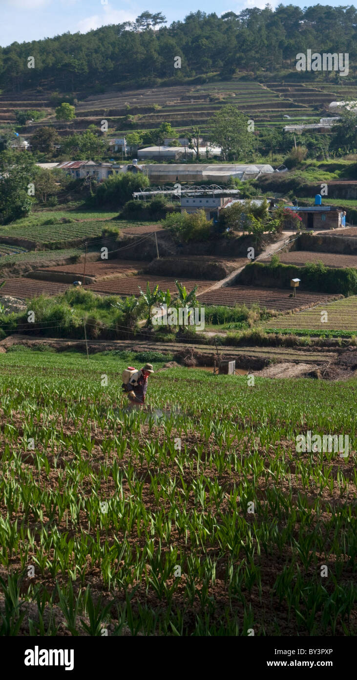 Rural vietnam scene High Resolution Stock Photography and Images - Alamy