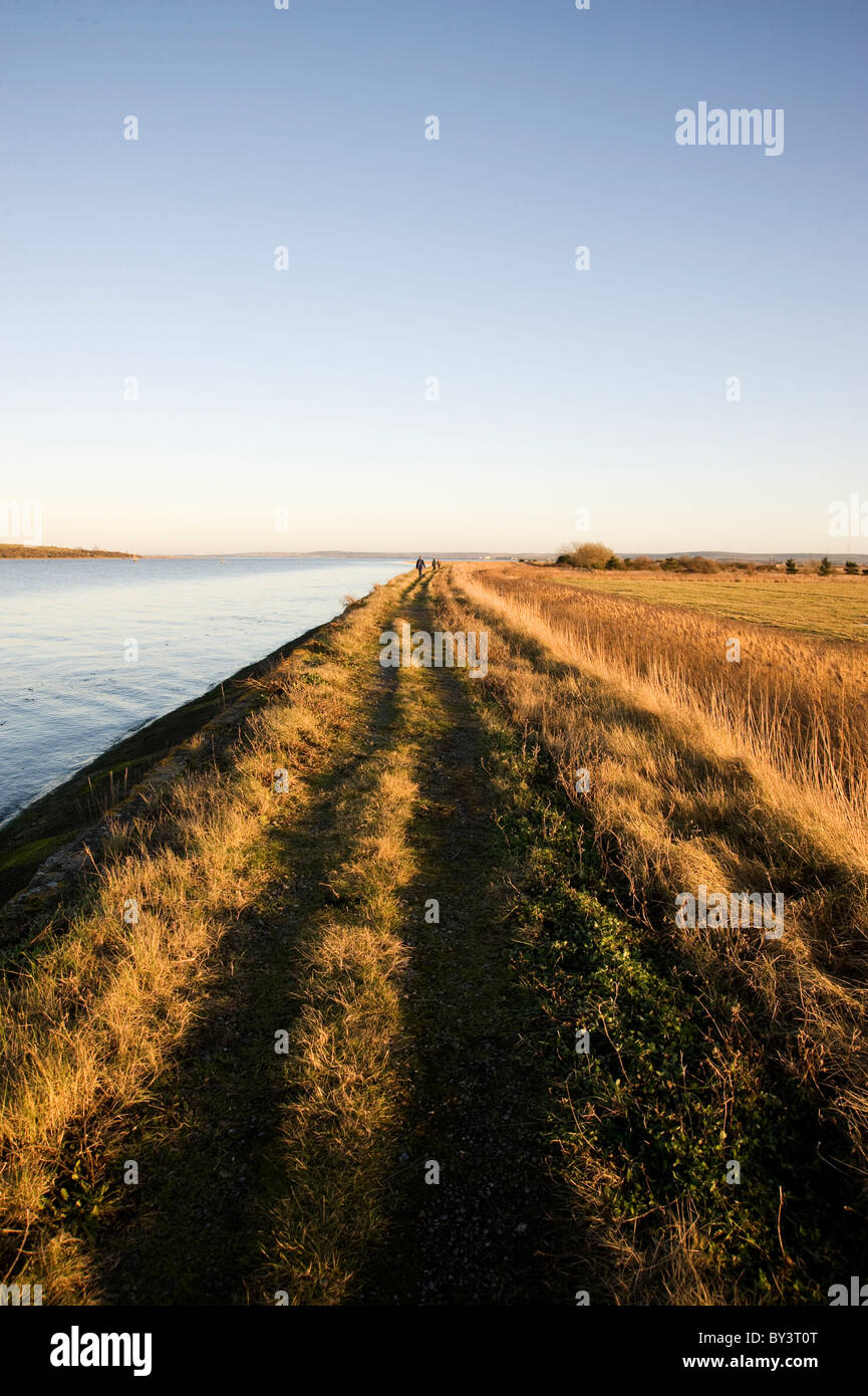 grass path raised causeway nature reserve low sun Stock Photo - Alamy