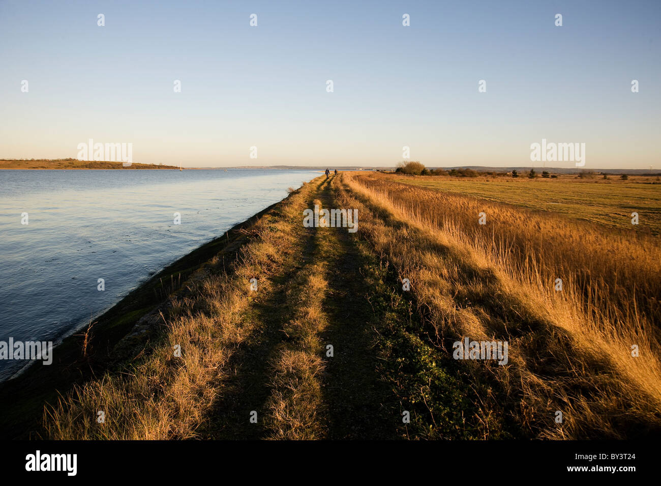 raised grass path along the bank of the swale estuary Stock Photo - Alamy