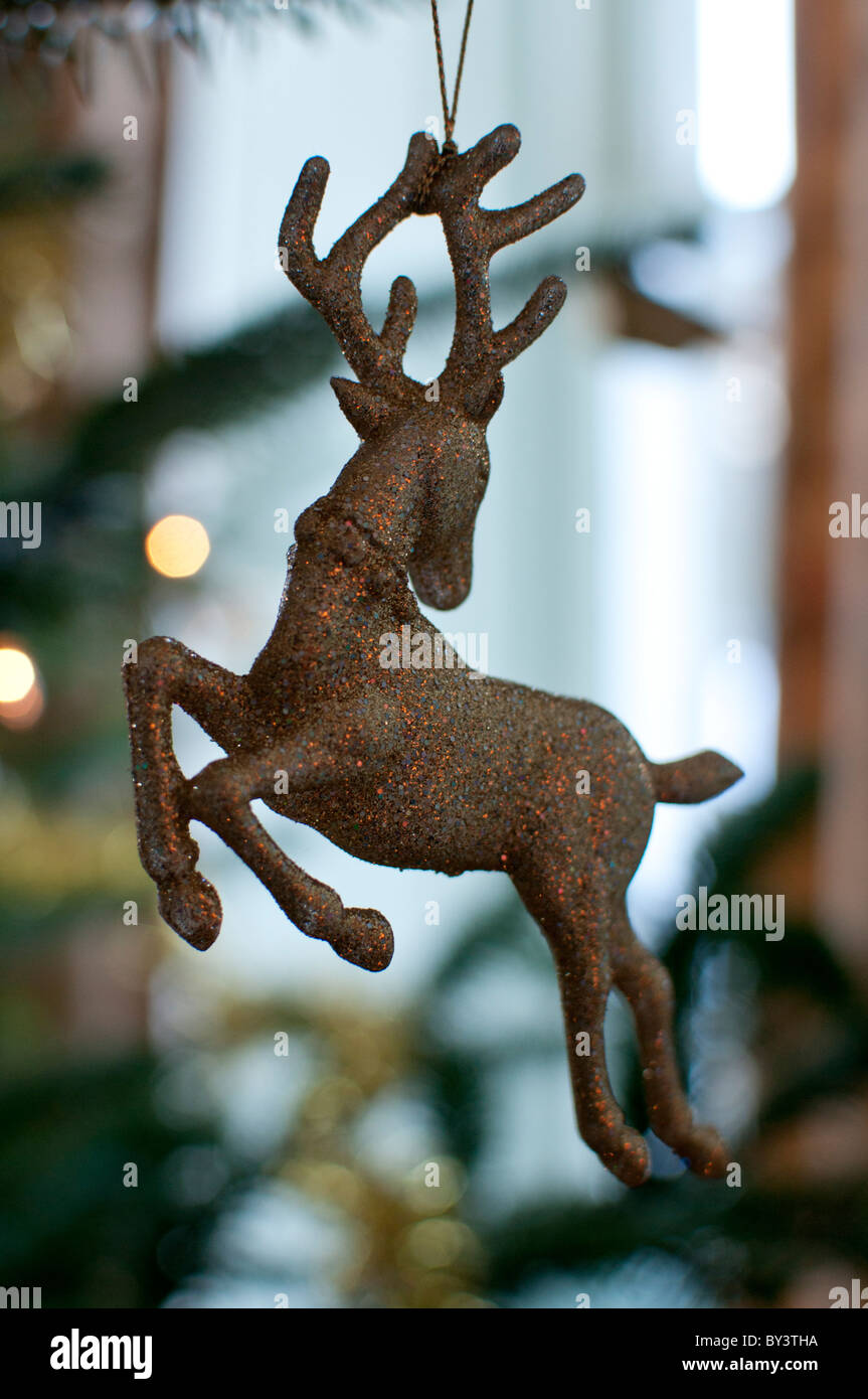 Stag legs hi-res stock photography and images - Alamy
