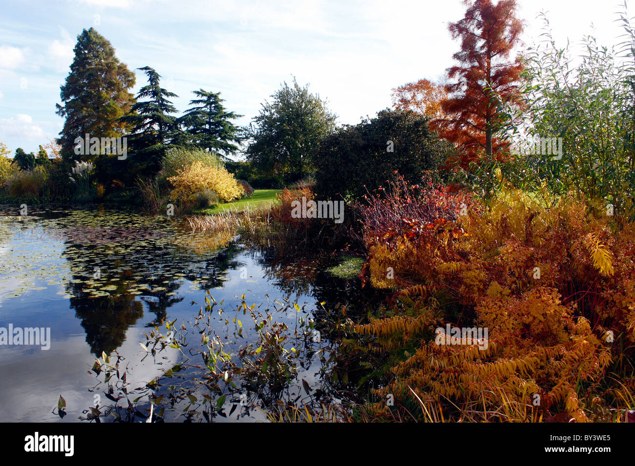 AUTUMNAL GARDEN POND IN AN ENGLISH COUNTRY GARDEN Stock Photo - Alamy
