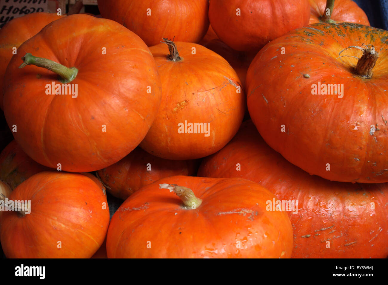 Little white pumpkins hi-res stock photography and images - Alamy