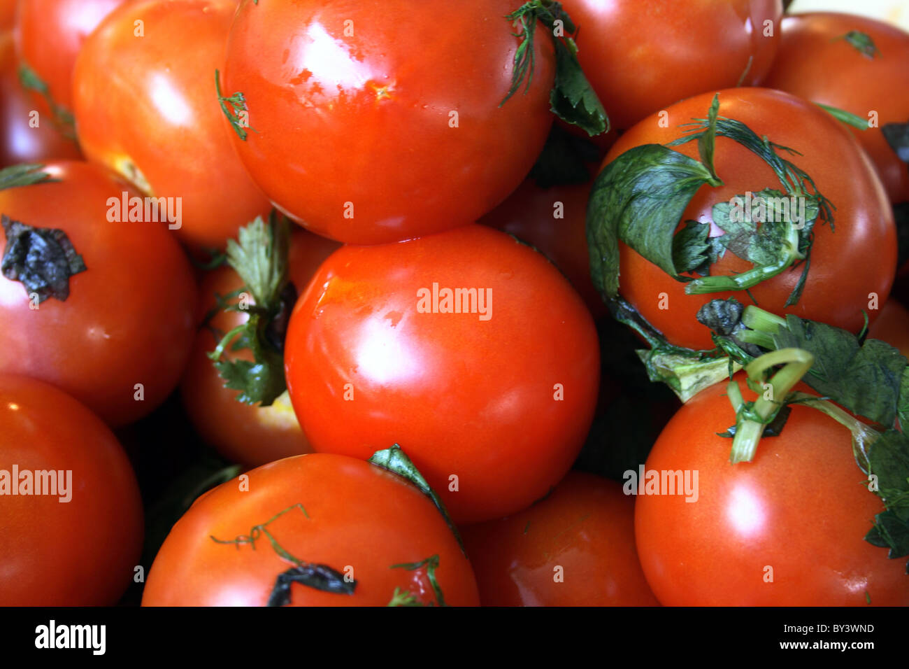 Tomatoes for relish hi-res stock photography and images - Alamy