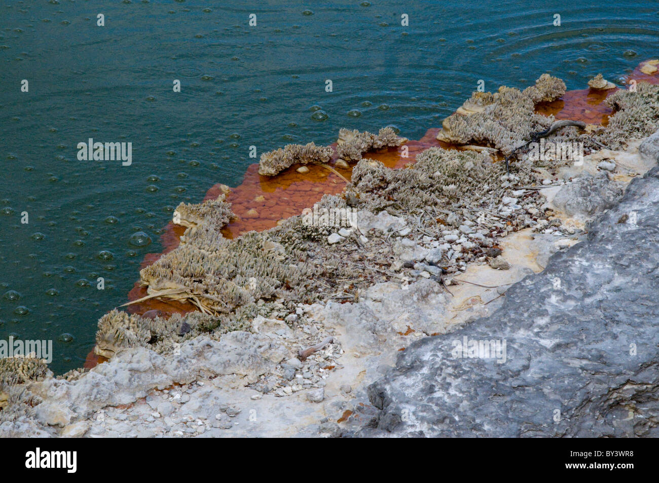 Antimony sinter gives the orange colour to the Champagner Pool called ...