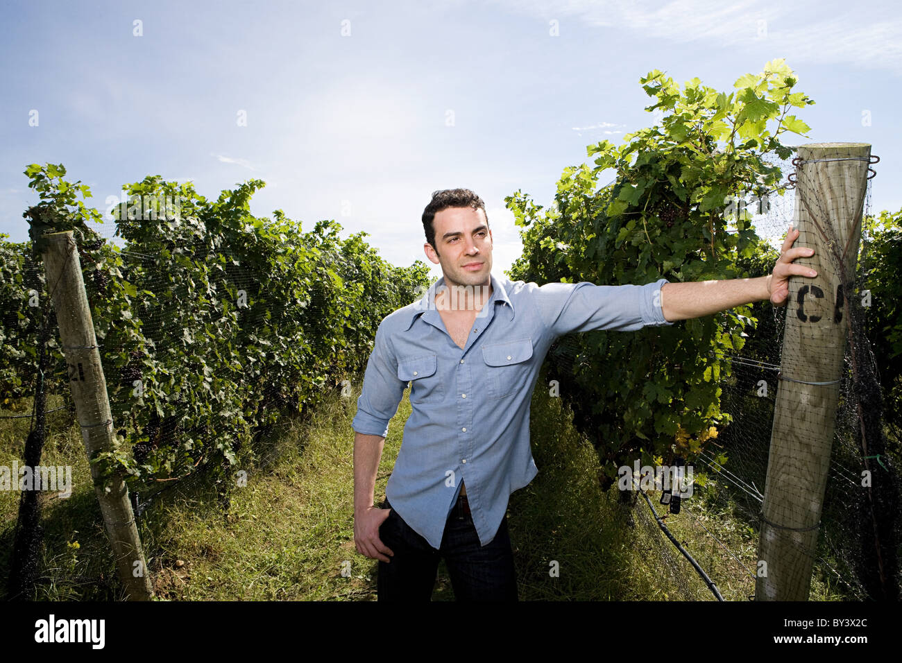 Young man in vineyard Stock Photo - Alamy
