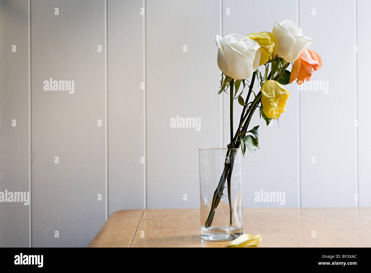 Drooping roses hi-res stock photography and images - Alamy
