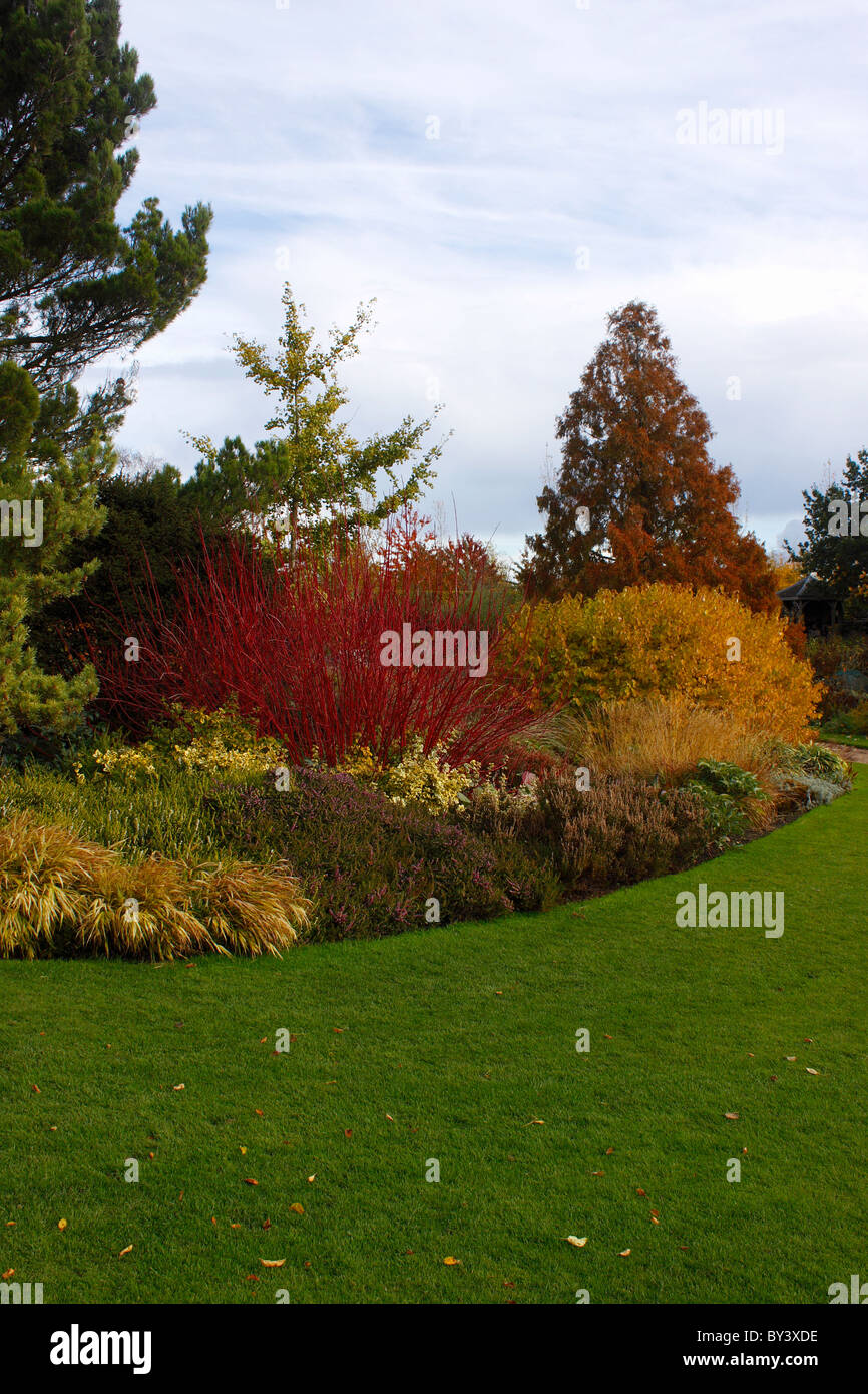 Rhs hyde hall cornus hi-res stock photography and images - Alamy