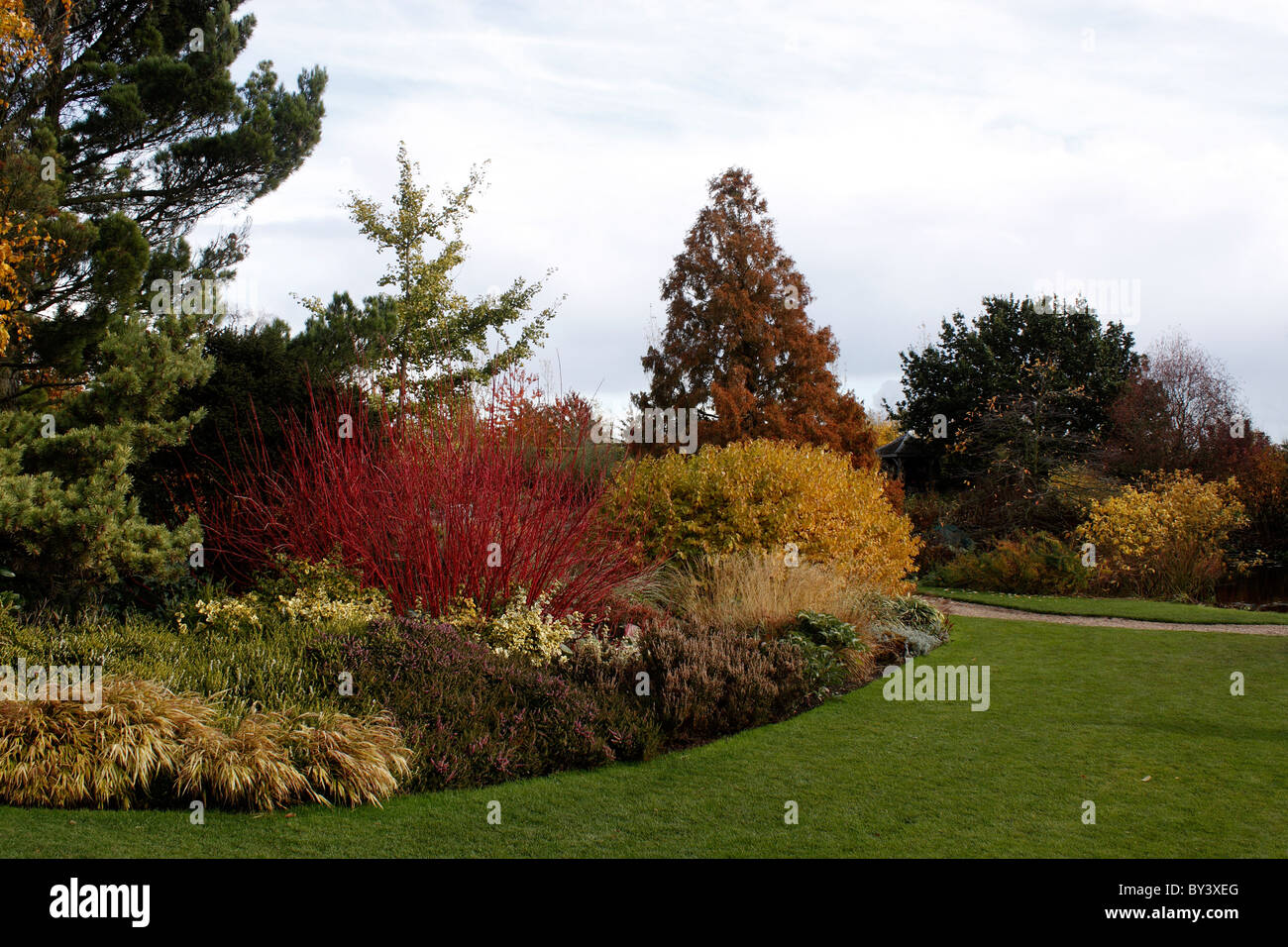 COLOURFUL AUTUMN SHRUBBERY Stock Photo - Alamy