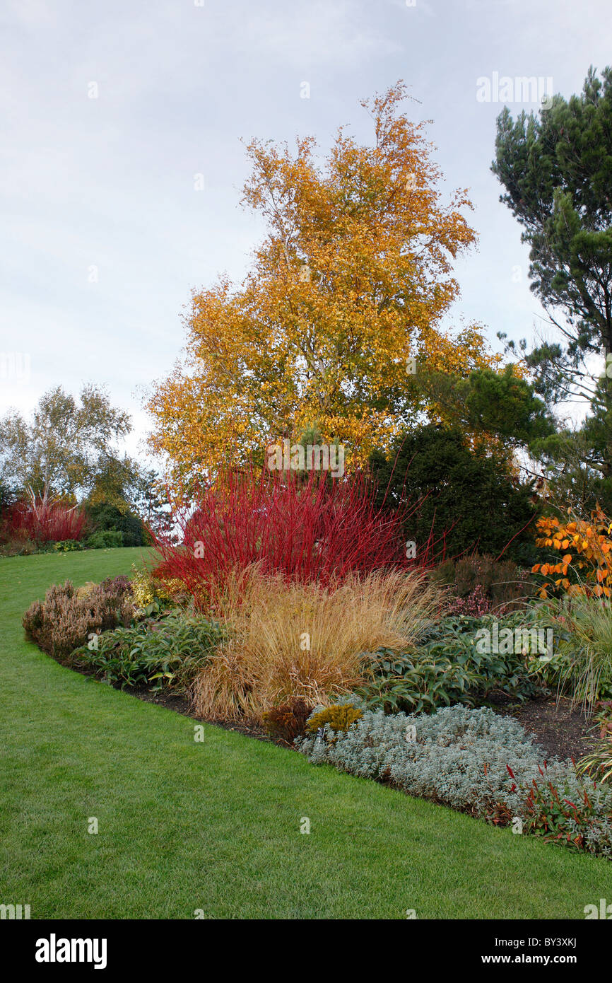 COLOURFUL AUTUMN SHRUBBERY Stock Photo - Alamy