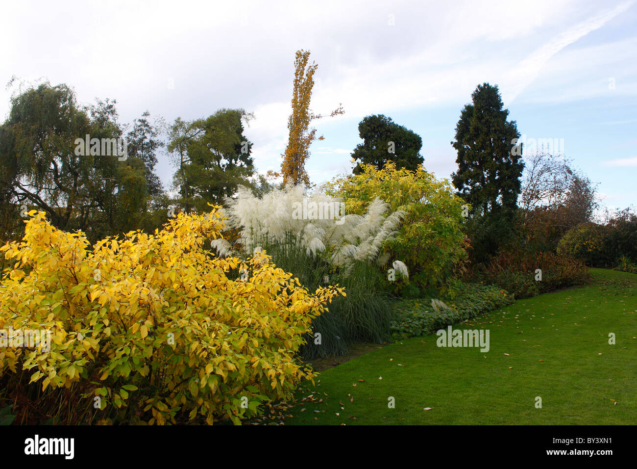 COLOURFUL AUTUMN SHRUBBERY Stock Photo - Alamy
