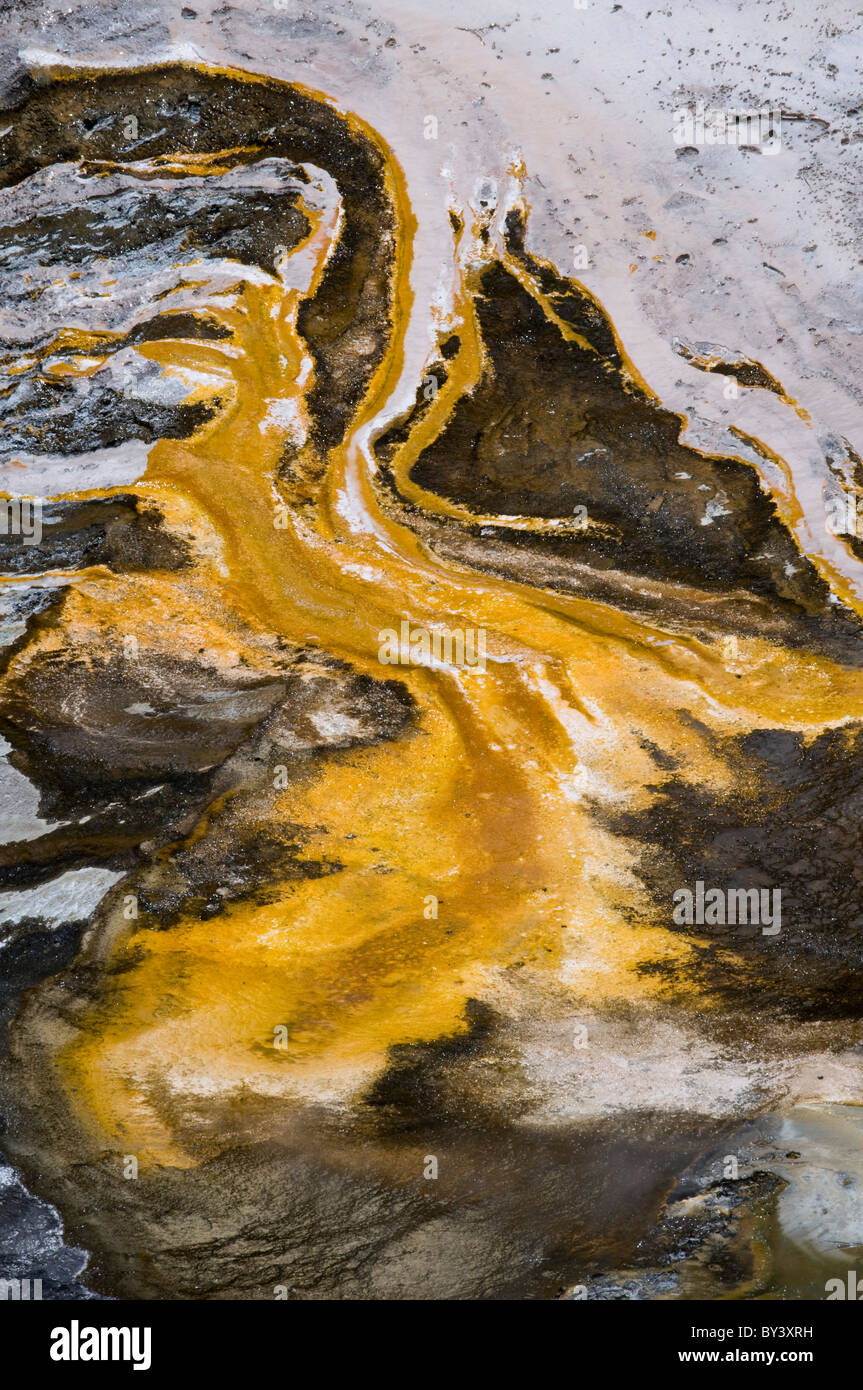 fantastic sinter terraces in Orakei Korako, the hidden valley in New ...