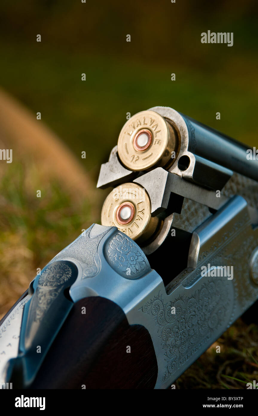Over and under shotguns hi-res stock photography and images - Alamy
