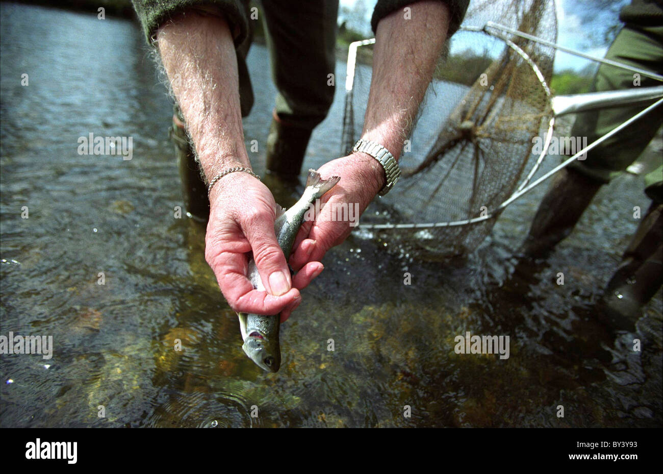 Fishing in the River Taff, Cardiff Stock Photo - Alamy