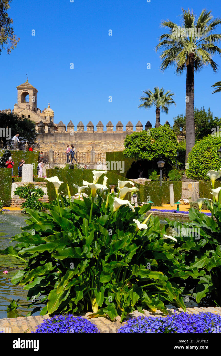 The gardens of the Alcazar of Catholic Kings, Cordoba. Andalusia, Spain ...