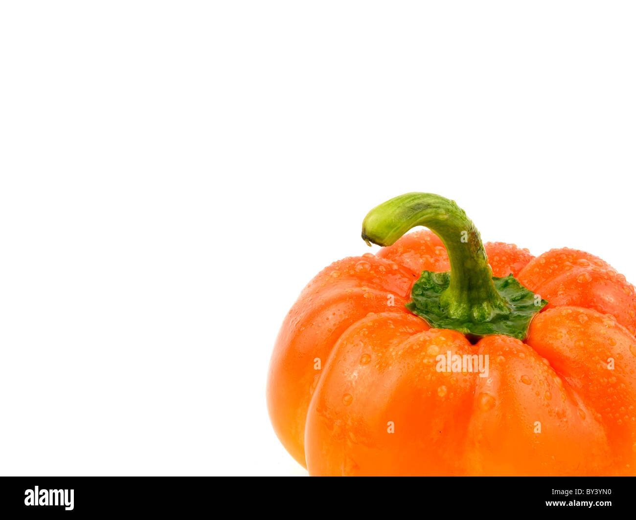 Closeup picture of fresh paprika on white background Stock Photo - Alamy