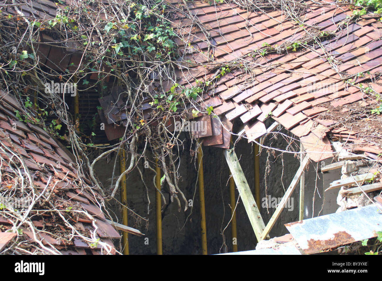Damage roof hi-res stock photography and images - Alamy