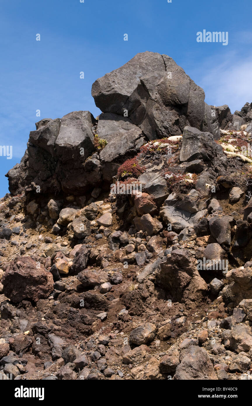 New lava covers the slopes of the active stratovolcano Ruapehu on New ...
