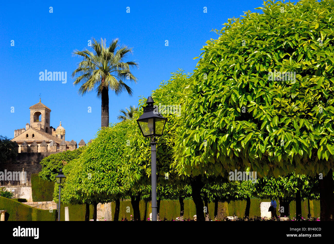 The gardens of the Alcazar of Catholic Kings, Cordoba. Andalusia, Spain ...