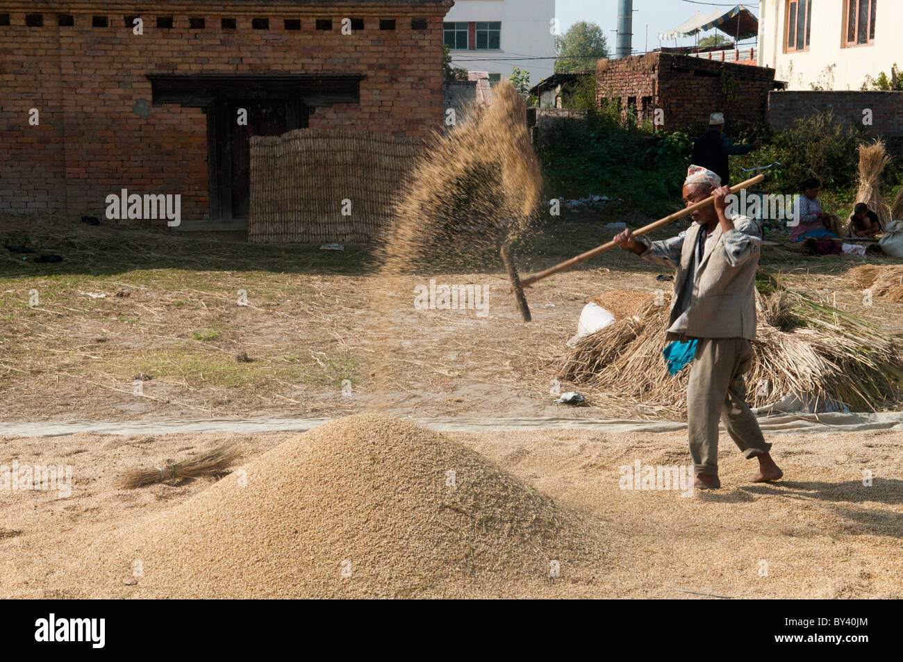 Farmer crop nepal hi-res stock photography and images - Alamy