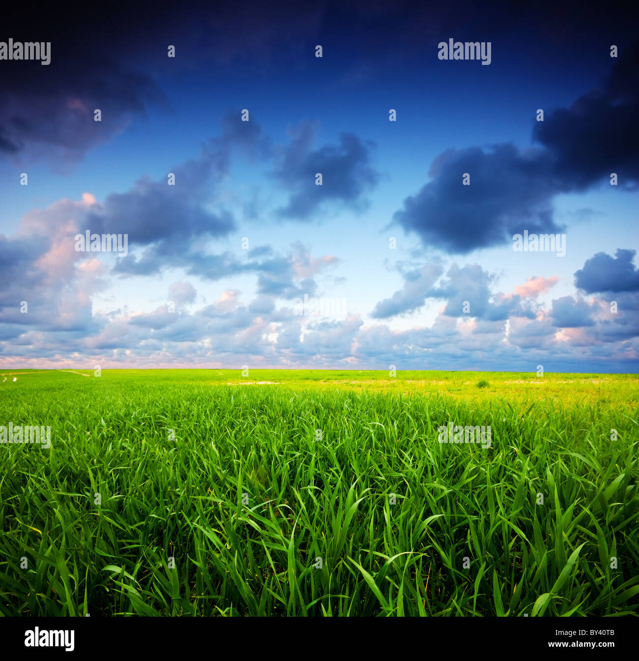 Stormy summer landscape. Green field and beautiful sky Stock Photo - Alamy