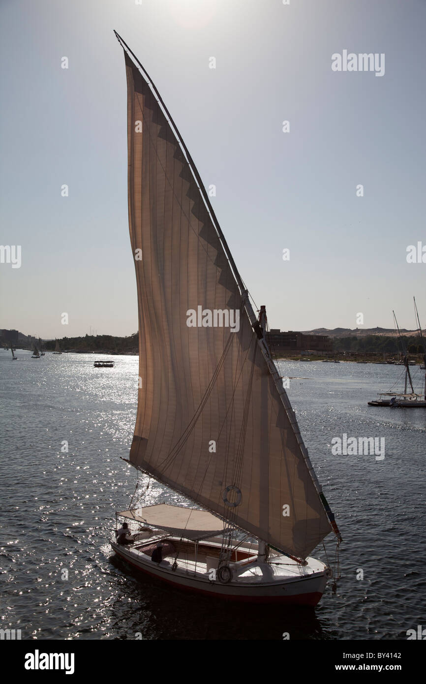Feluccas at full sail at midday- Aswan, Egypt Stock Photo - Alamy