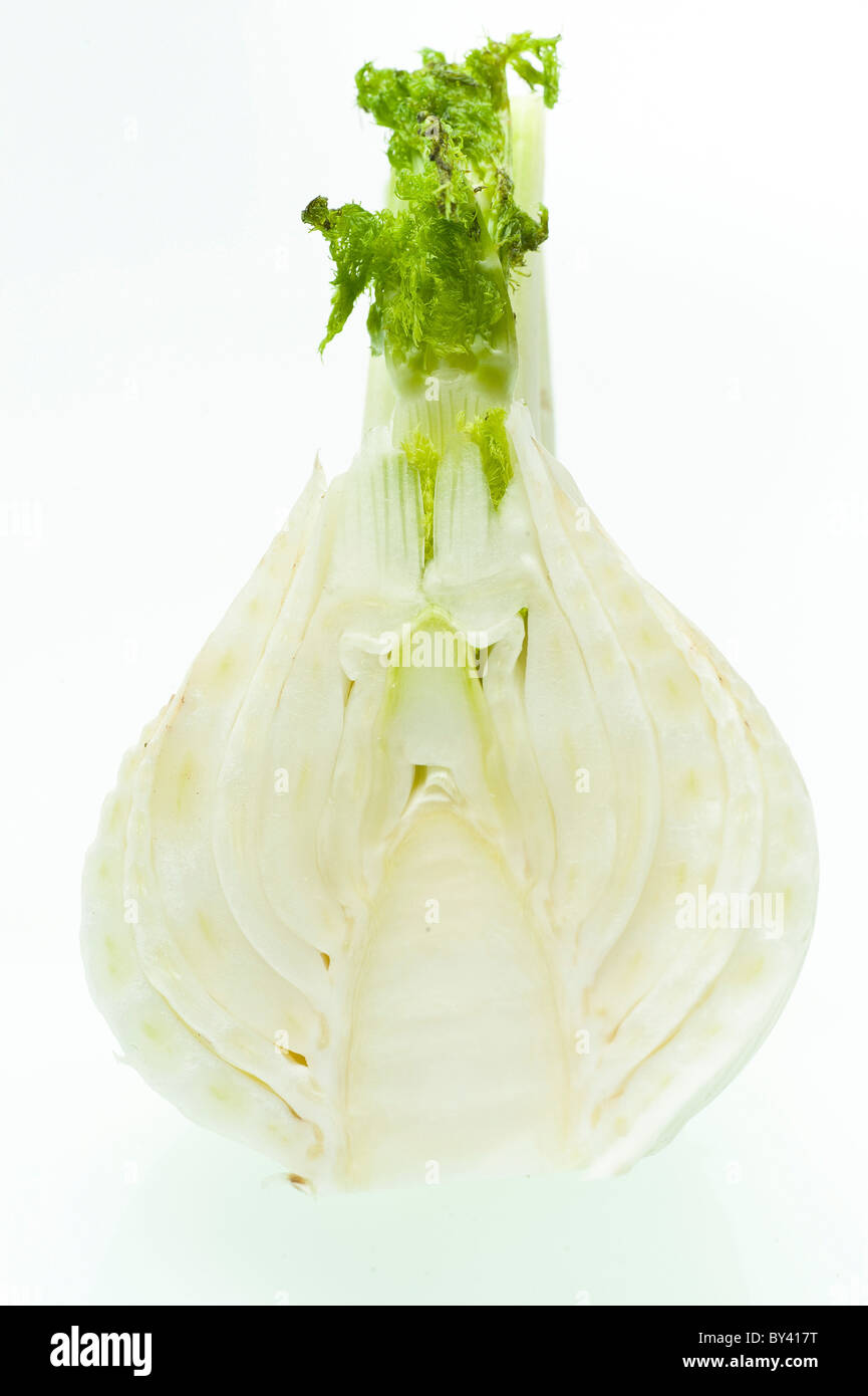 Fennel bulb florence fennel hi-res stock photography and images - Alamy