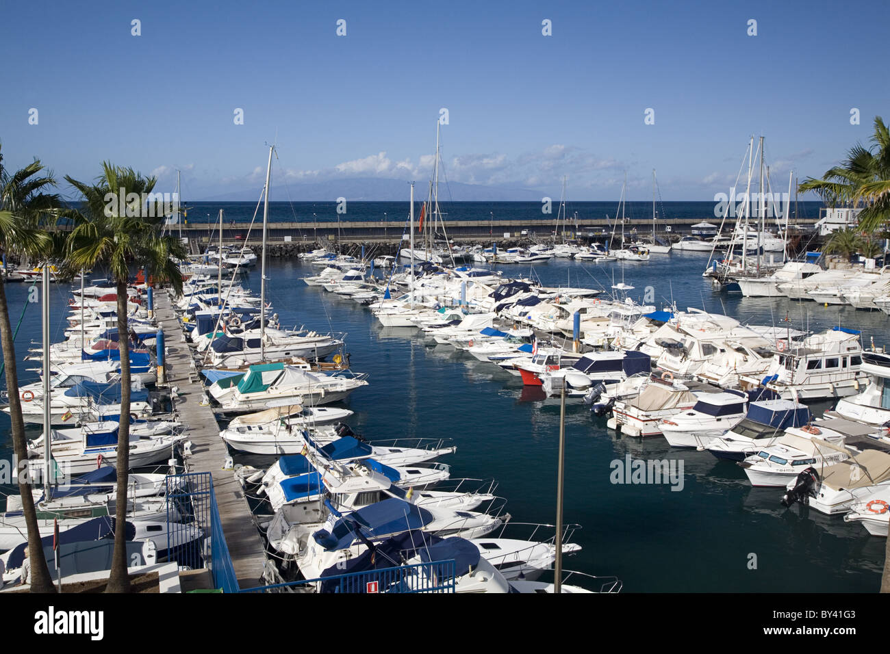 Puerto Colon in Costa Adeje, Playa de las Americas, Tenerife, Canary ...