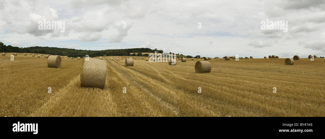 Round bales in field hi-res stock photography and images - Alamy