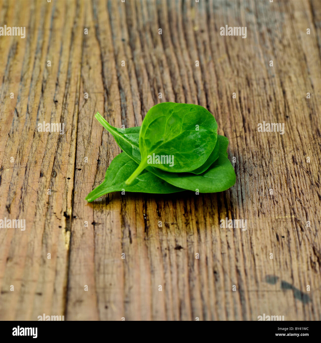 Baby leaf spinach cut out hi-res stock photography and images - Alamy