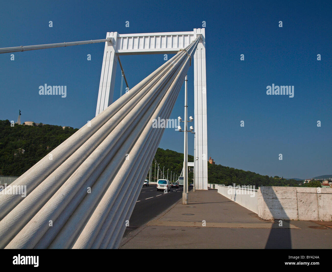 Elizabeth Bridge is a suspension bridge across the Danube River at ...