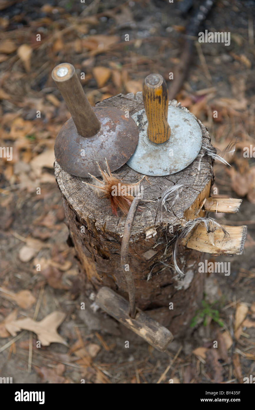 Hog scraper for butchering Stock Photo - Alamy