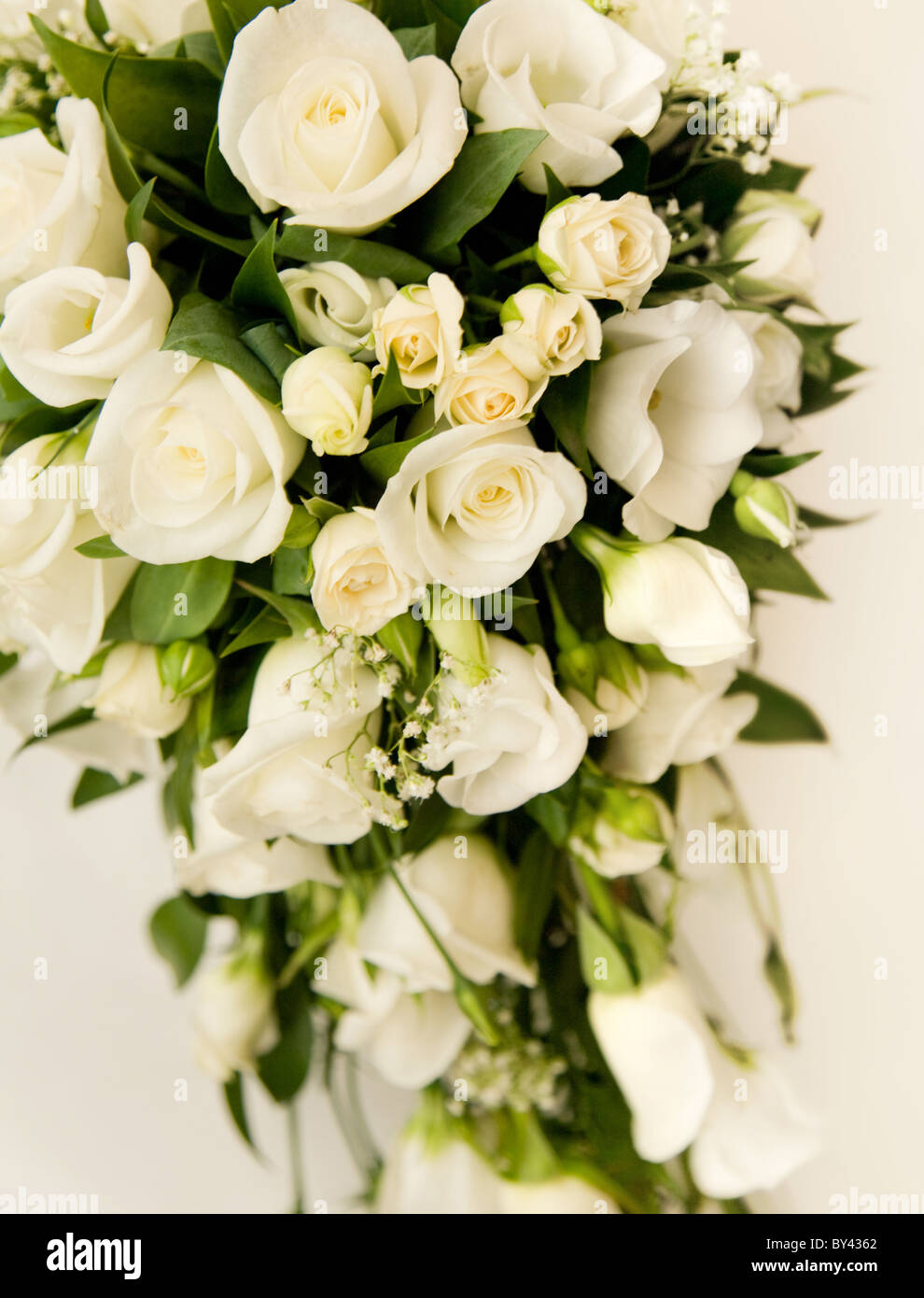 Beautiful bunch pure white hi-res stock photography and images - Alamy