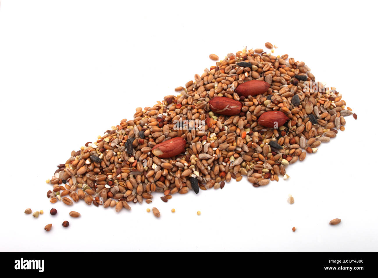 Wild bird food, put out in a garden to feed wild birds in the winter ...