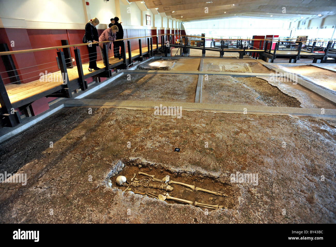 A skeleton lies buried in the floor amongst the mosaics at Fishbourne ...