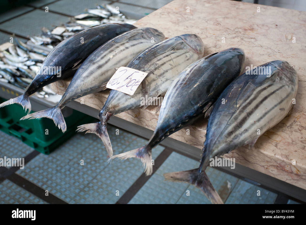 Madeira fish market hi-res stock photography and images - Alamy