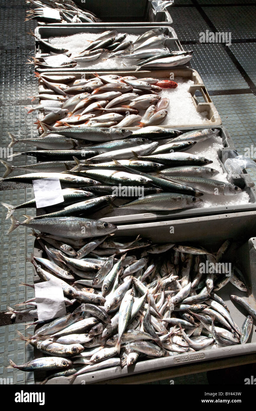 Madeira fish market hi-res stock photography and images - Alamy