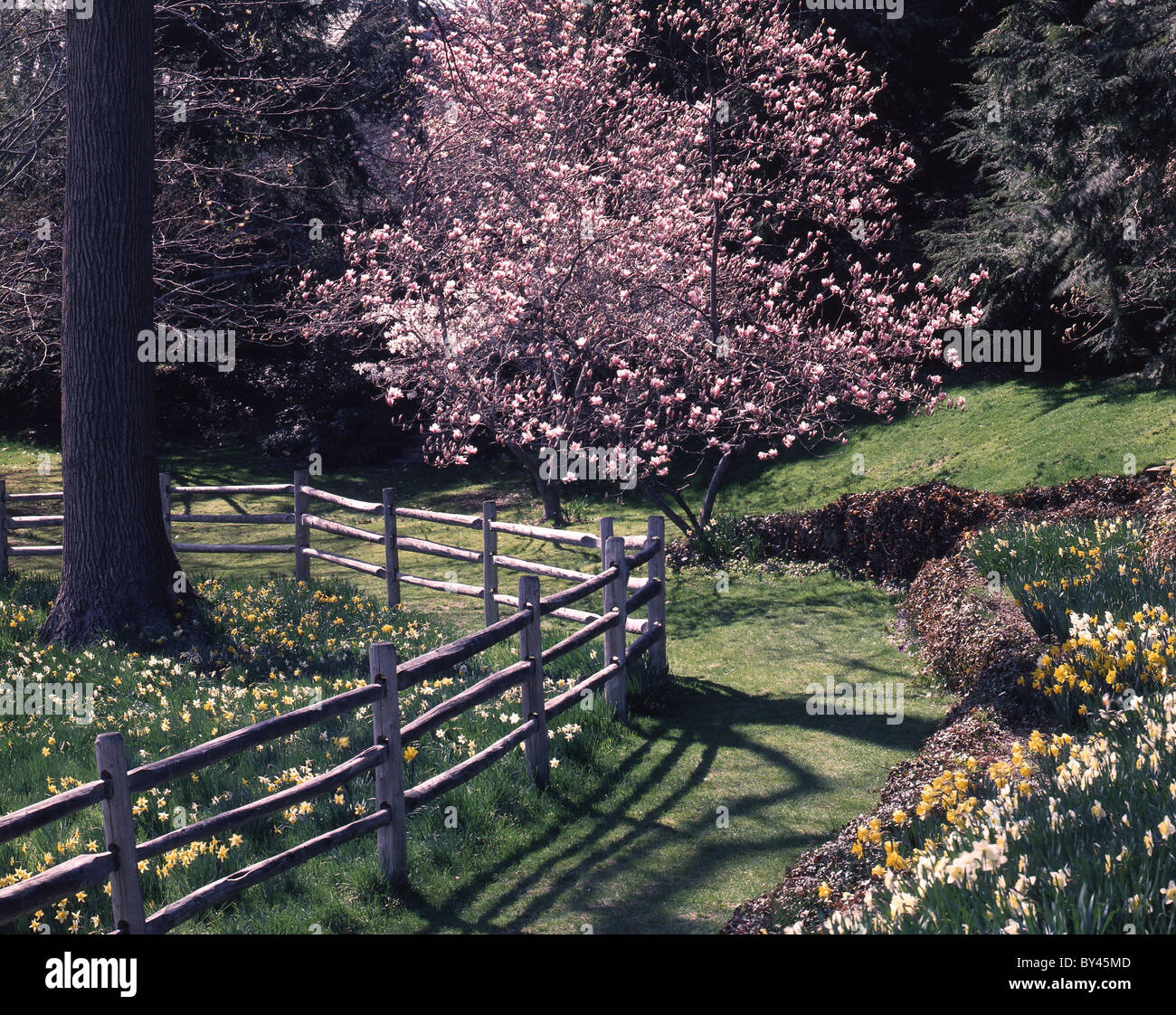 Spring landscape springtime landscape new jersey in spring hi-res stock ...