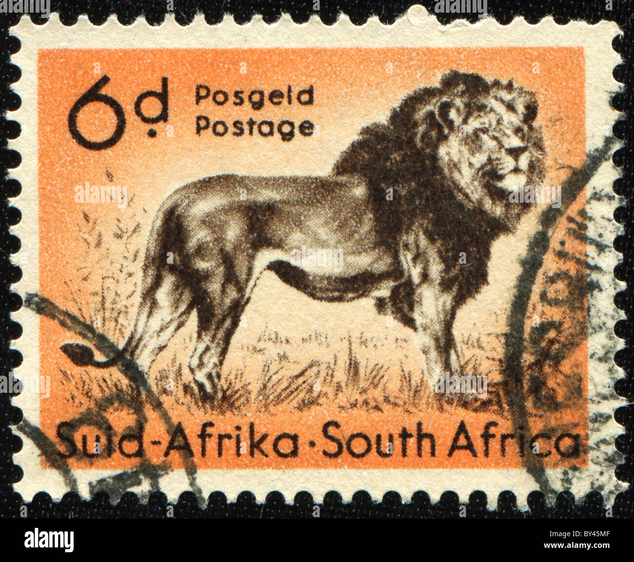 Mail lion hi-res stock photography and images - Alamy