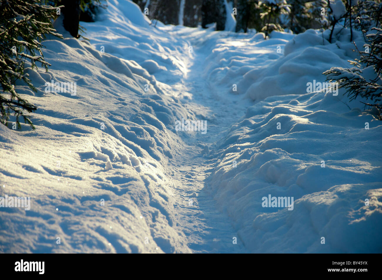 Winter footpath hi-res stock photography and images - Alamy