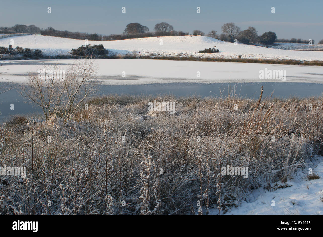 Snowfall on local fields and frozen pond in Borras Park Wrexham Stock ...