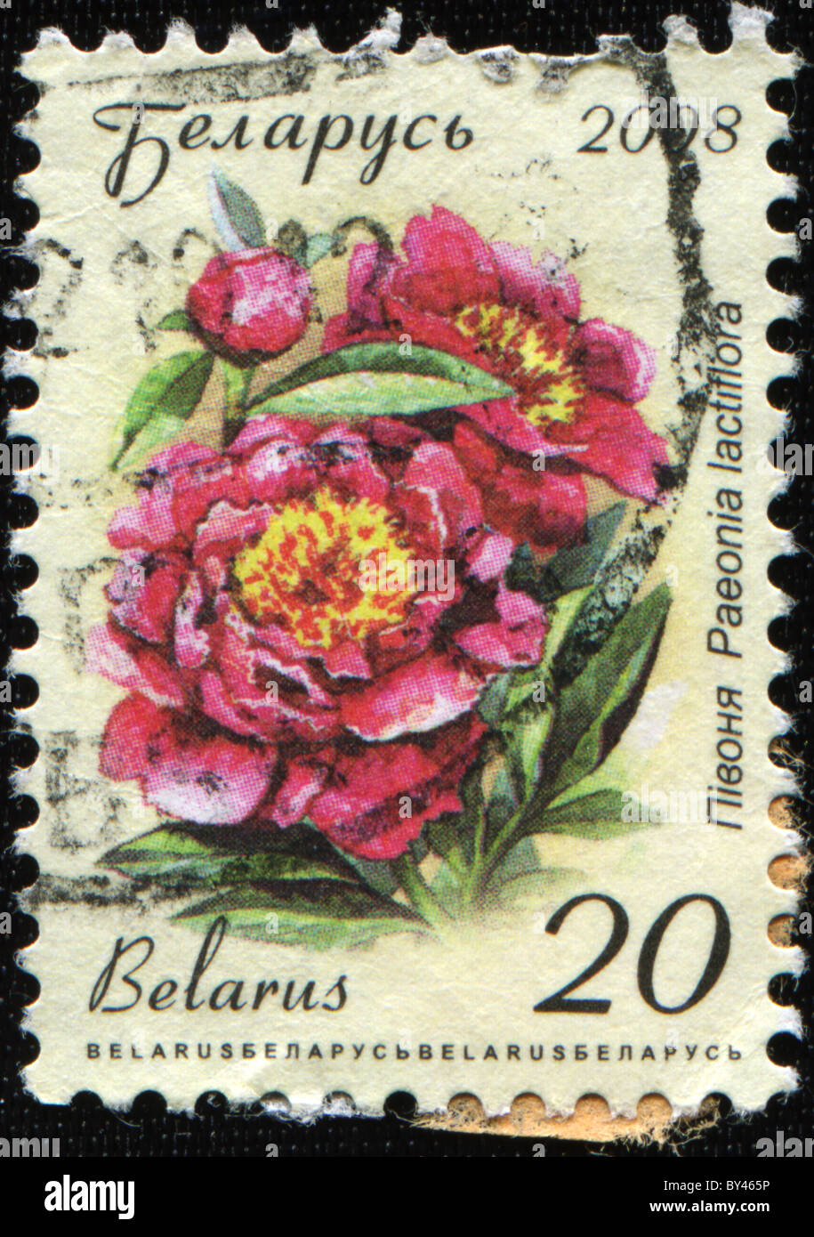 Chinese postage stamps hi-res stock photography and images - Alamy