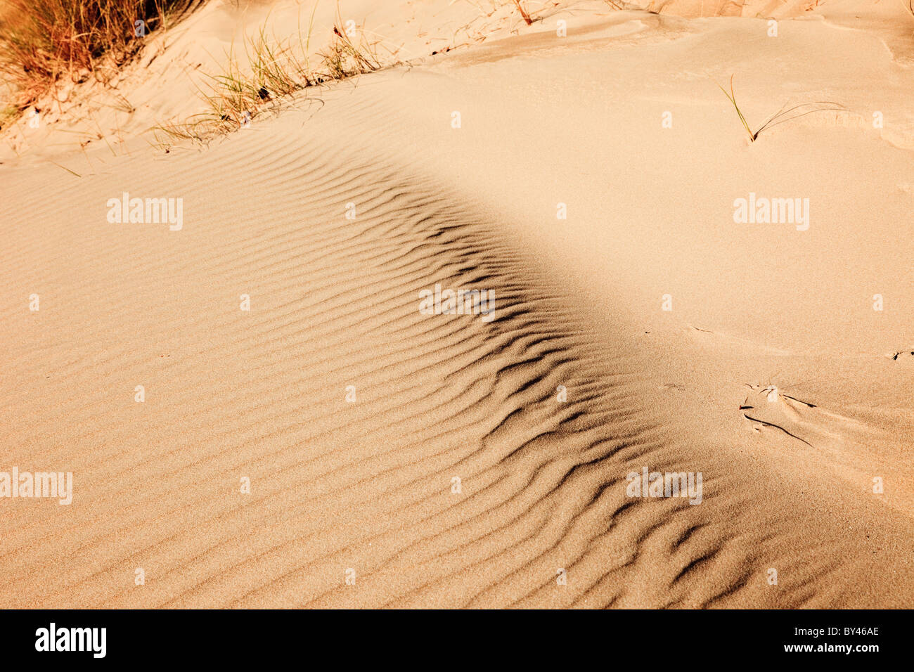 Natural wind blown sand patterns in sand dunes on Llanddwyn beach Stock ...