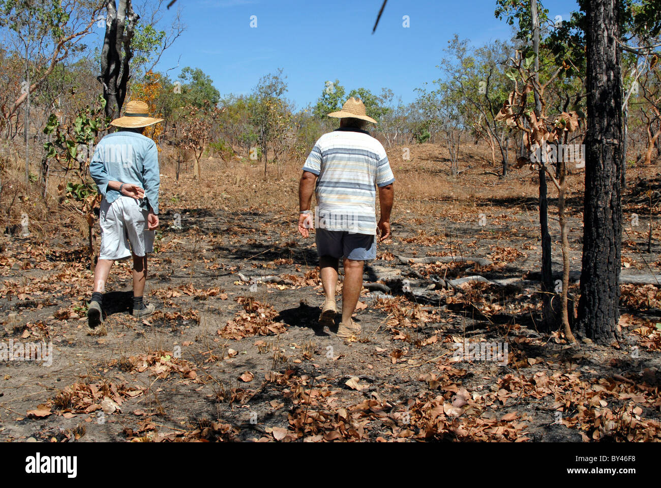 Two men walking in the Australian bush south of Darwin Stock Photo - Alamy