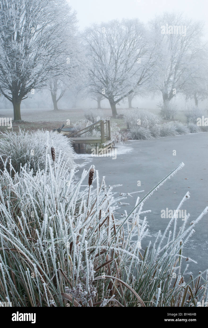 Foggy and icy scene at a lake in Warwickshire Stock Photo - Alamy