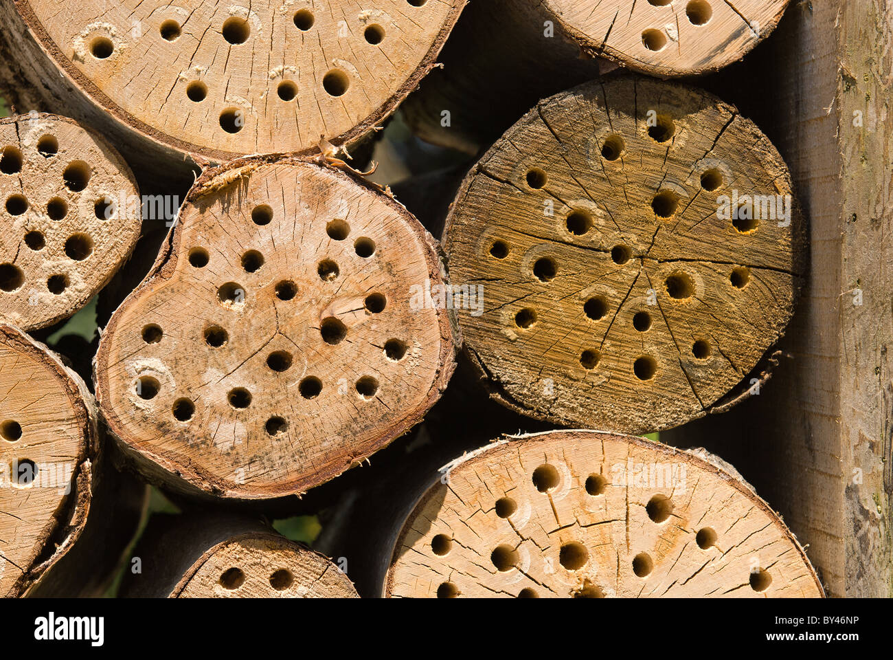 Mini beast man made habitat shelter to aid conservation of insects ...
