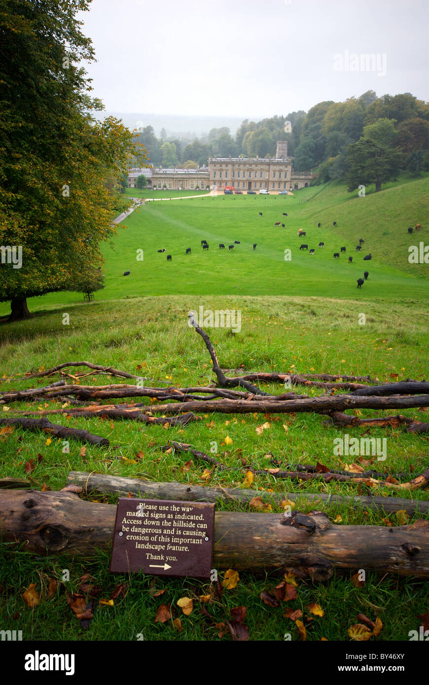 Dyrham park cotswolds hi-res stock photography and images - Alamy