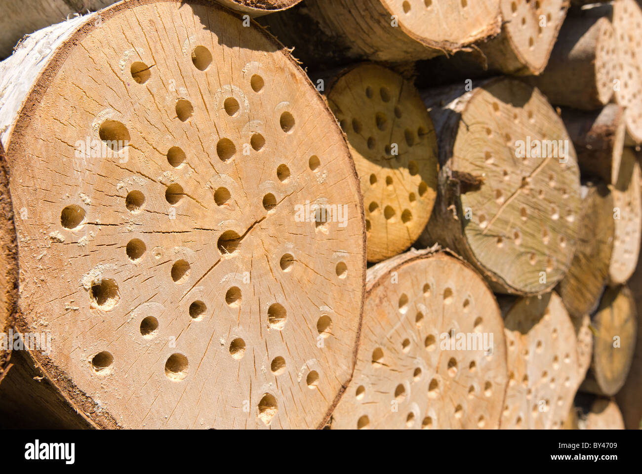 Insect hotel pallet hi-res stock photography and images - Alamy