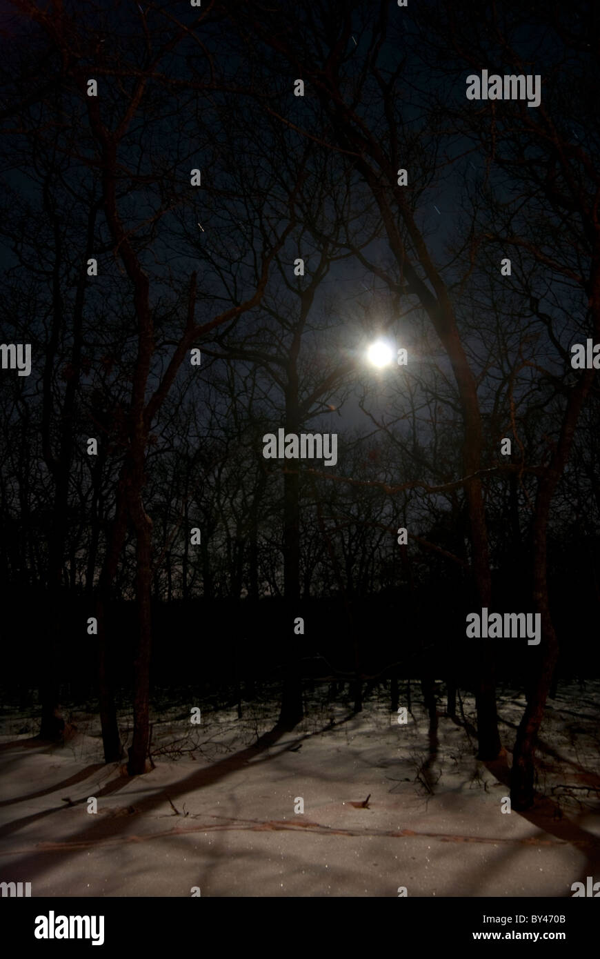 Moon robert wood photography hi-res stock photography and images - Alamy