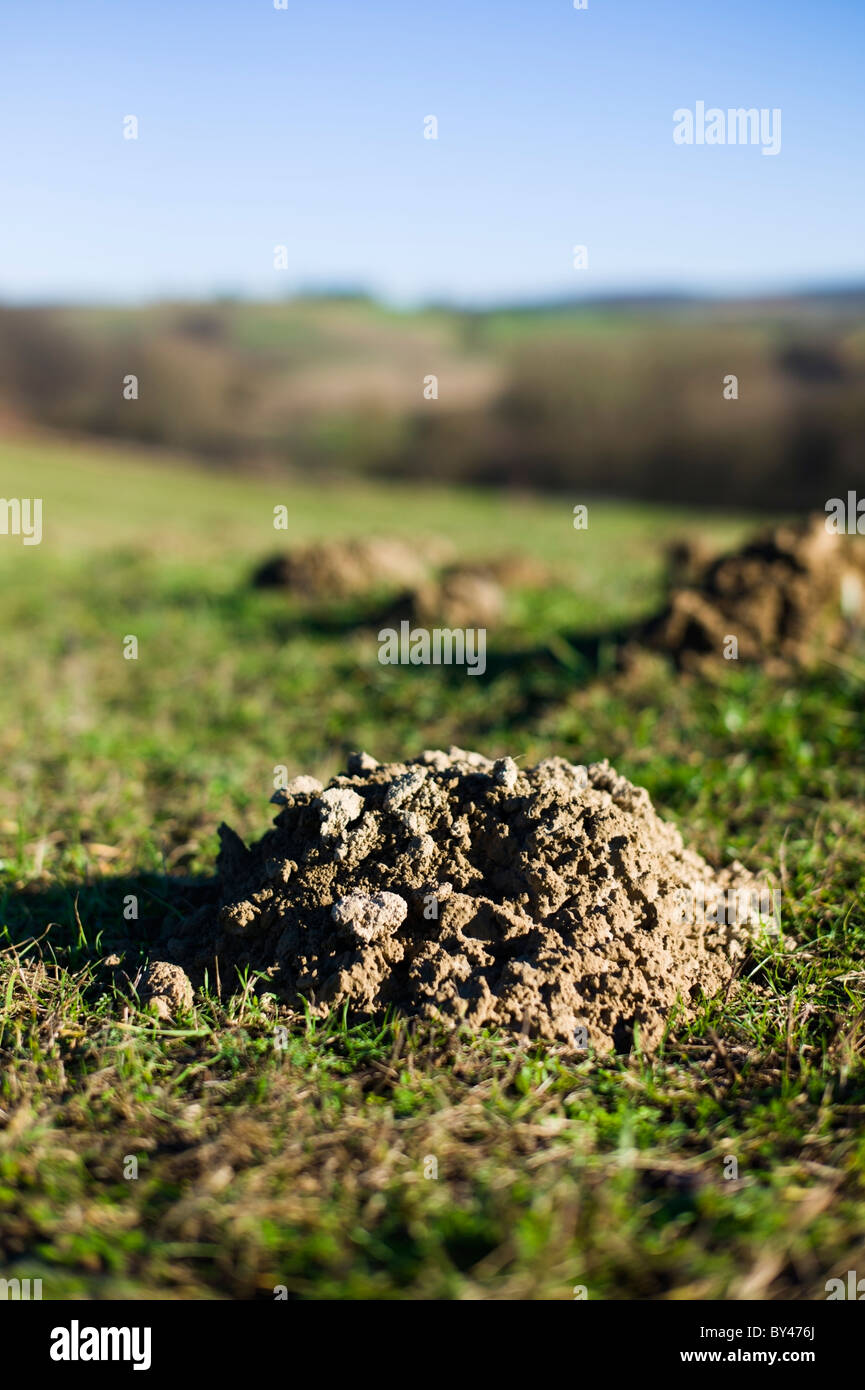 Mountain molehill hi-res stock photography and images - Alamy