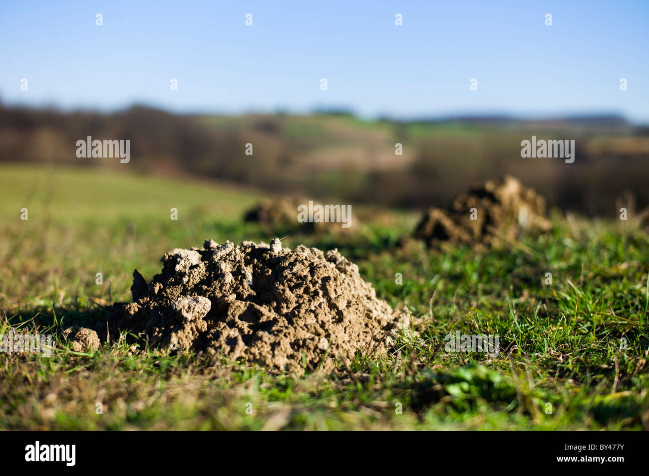 Mountain molehill hi-res stock photography and images - Alamy